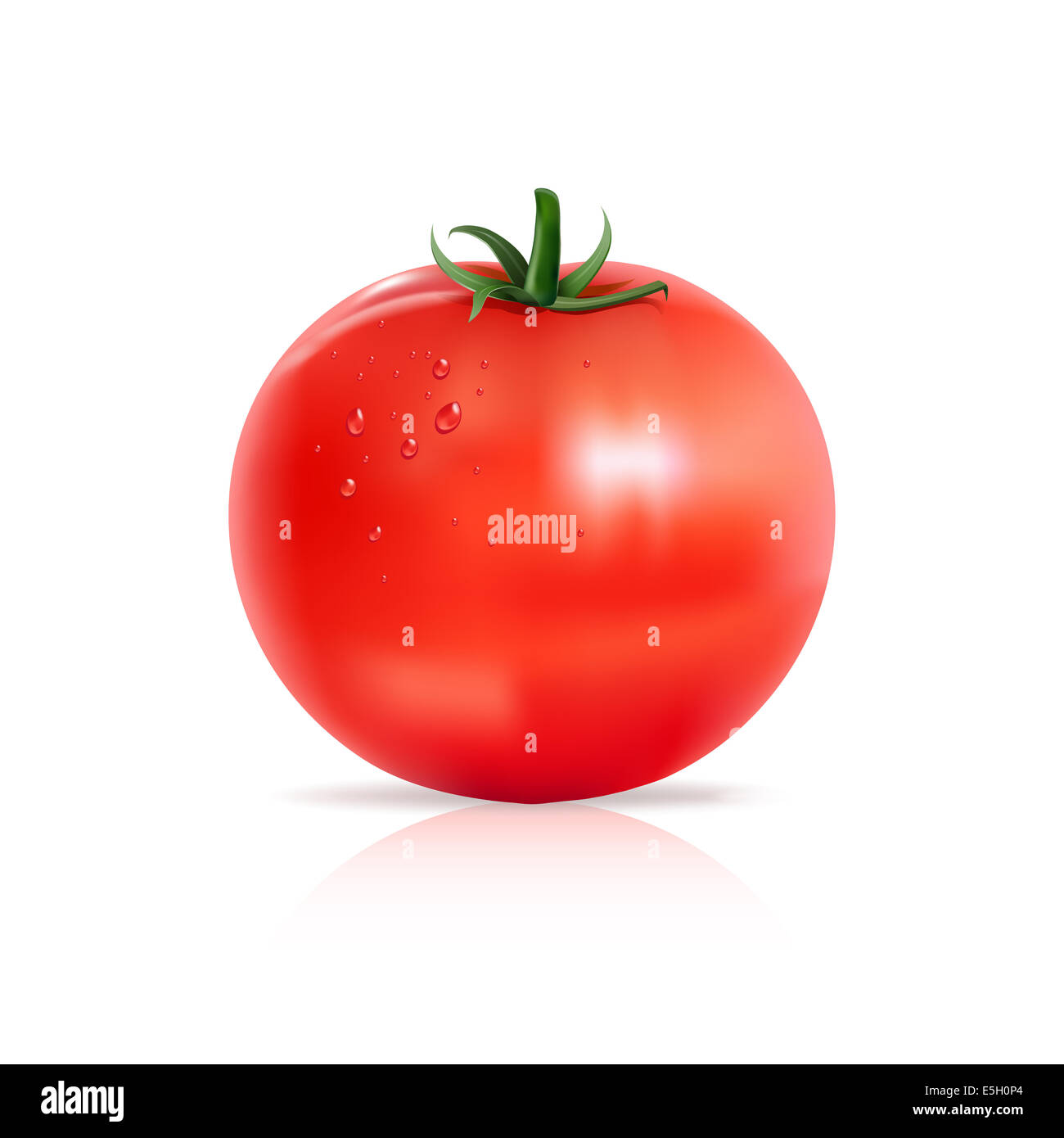 One realistic tomato red hi-res stock photography and images - Alamy