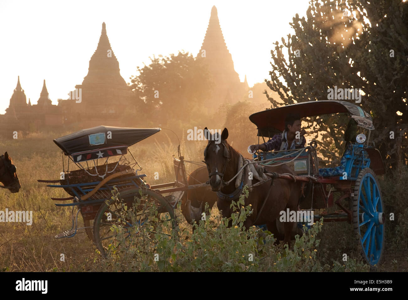 Bagan horse cart bagan temples hi-res stock photography and images - Alamy