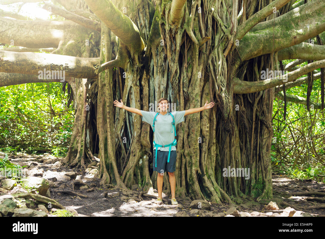 Giant tree man standing in hi-res stock photography and images - Alamy