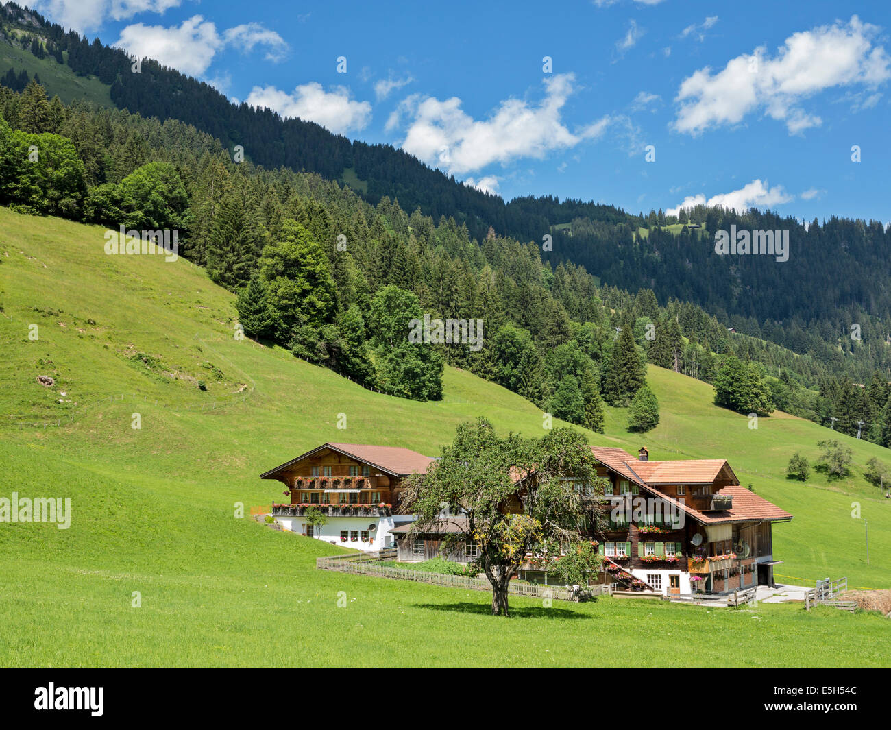 View of a Swiss alpine farmhouse in summer Stock Photo - Alamy