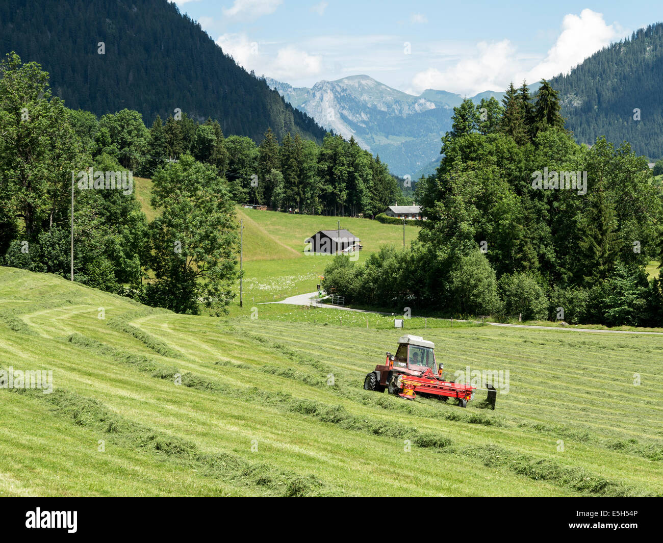 A swiss farmer hi-res stock photography and images - Alamy