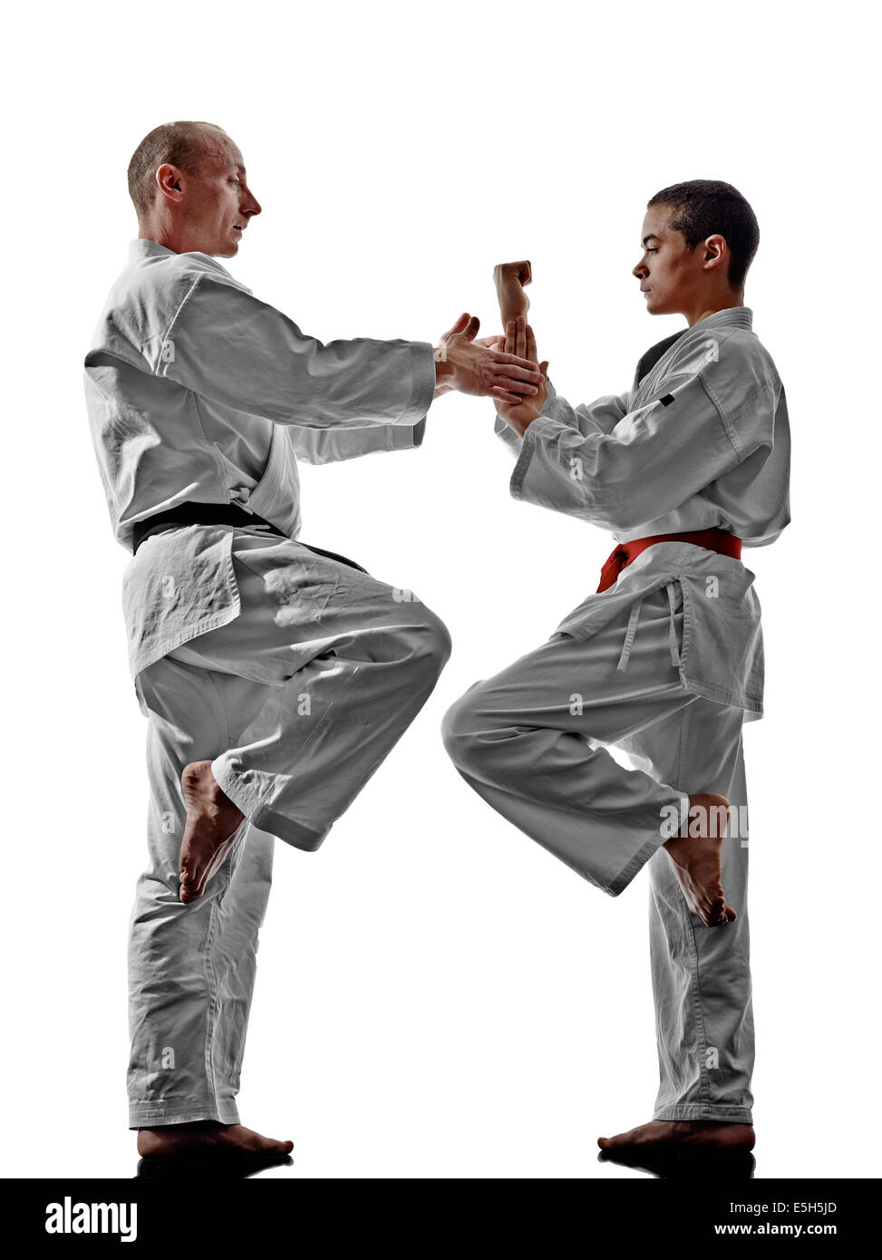 Sensei Stock Photos & Sensei Stock Images - Alamy