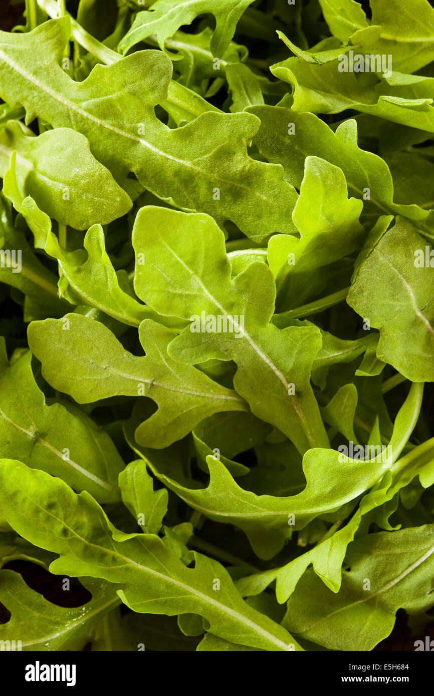Organic Raw Green Arugula in a Basket Stock Photo - Alamy