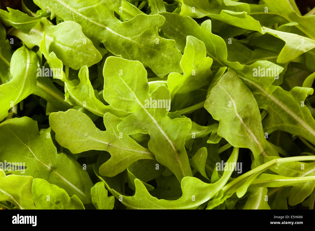 Organic Raw Green Arugula in a Basket Stock Photo - Alamy