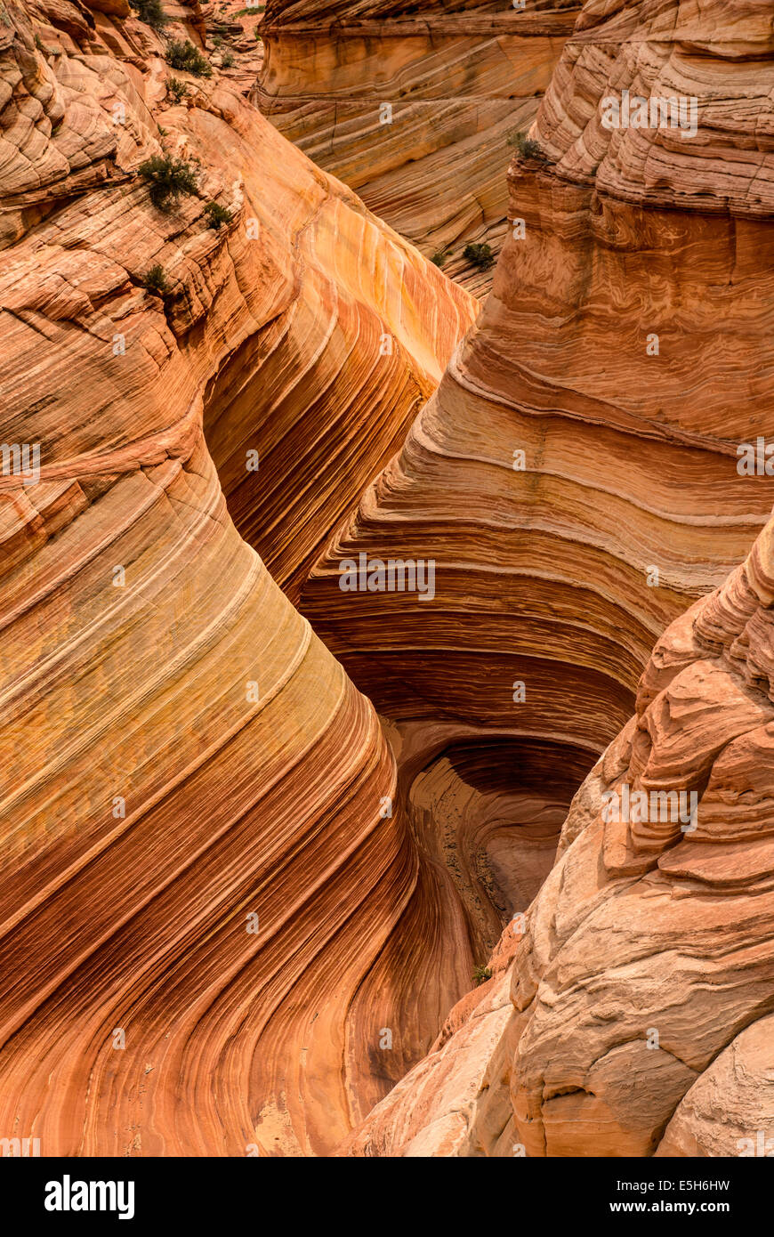 Navajo sandstone wave hi-res stock photography and images - Alamy