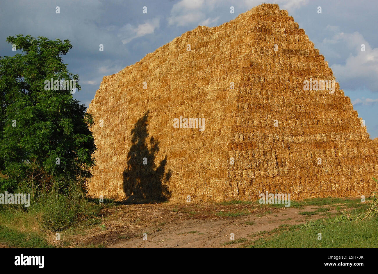 A pyramid of hay and tree with the cloudy sky in the background Stock ...