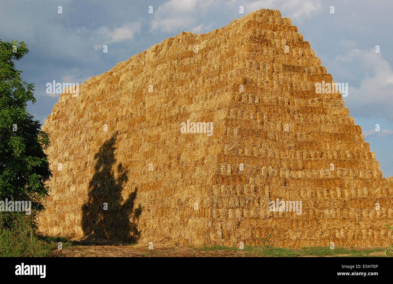 A pyramid of hay and tree with the cloudy sky in the background Stock ...