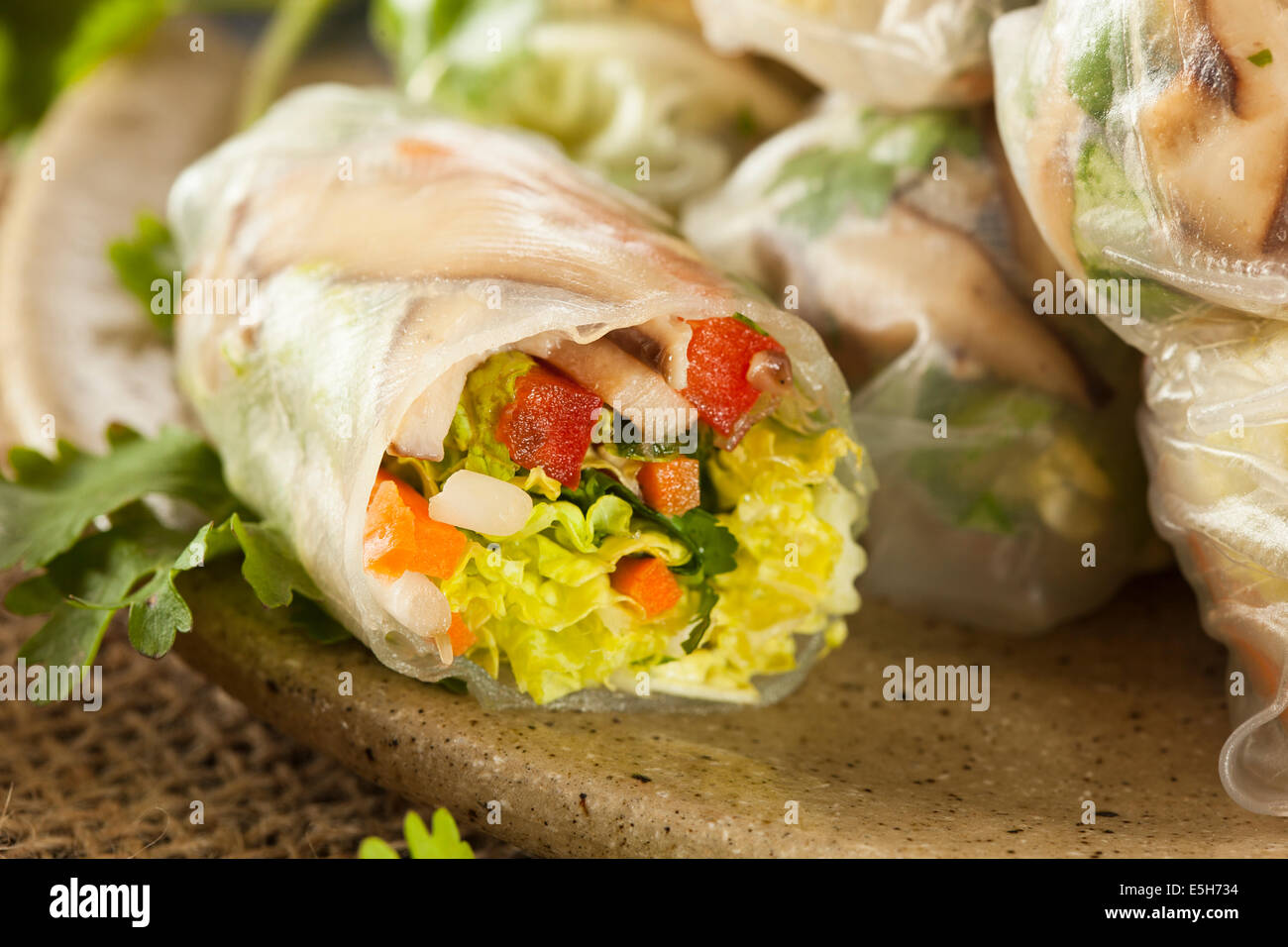 Healthy Vegetarian Spring Rolls with Cilantro Carrots and Cabbage Stock ...