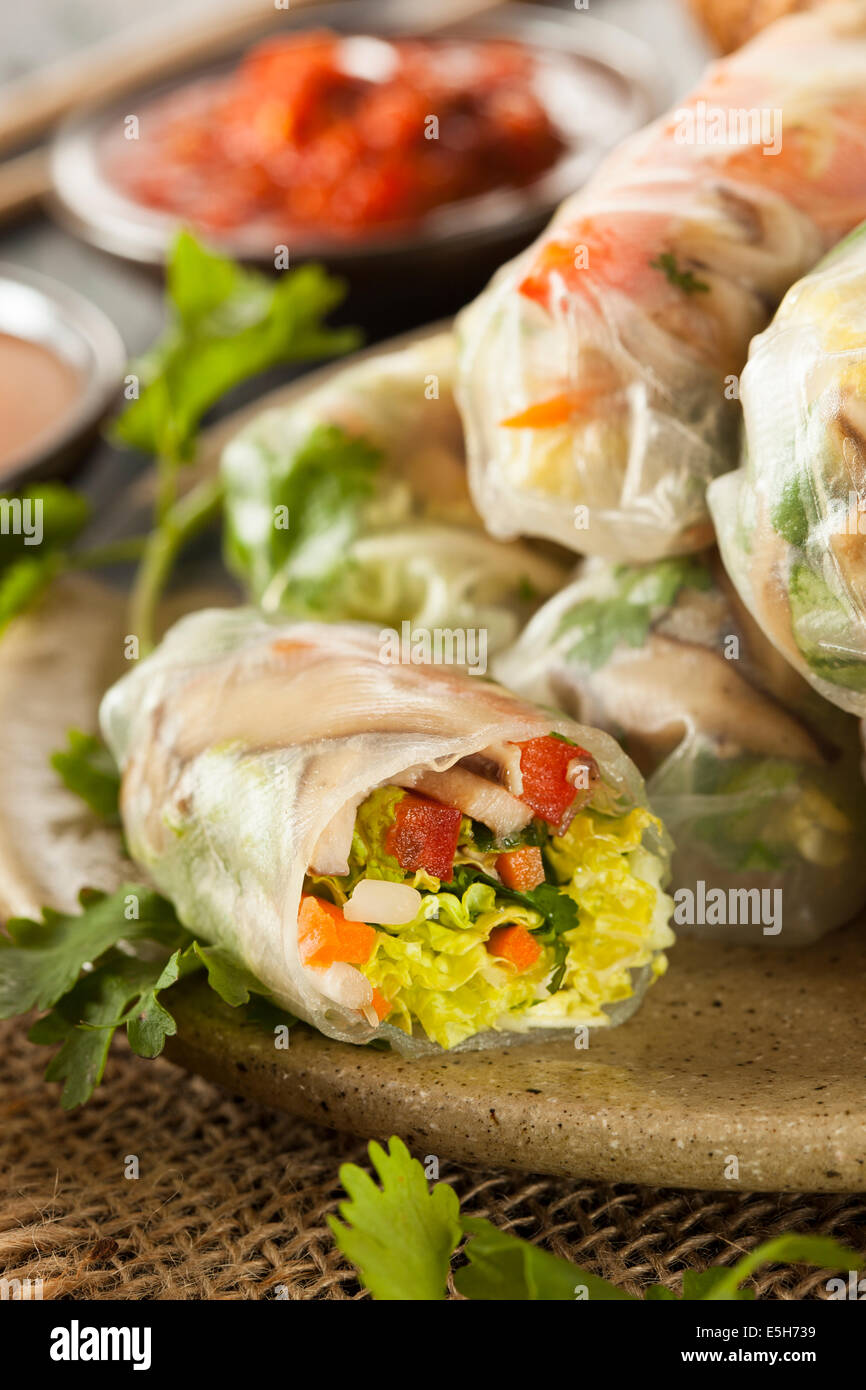 Healthy Vegetarian Spring Rolls with Cilantro Carrots and Cabbage Stock ...
