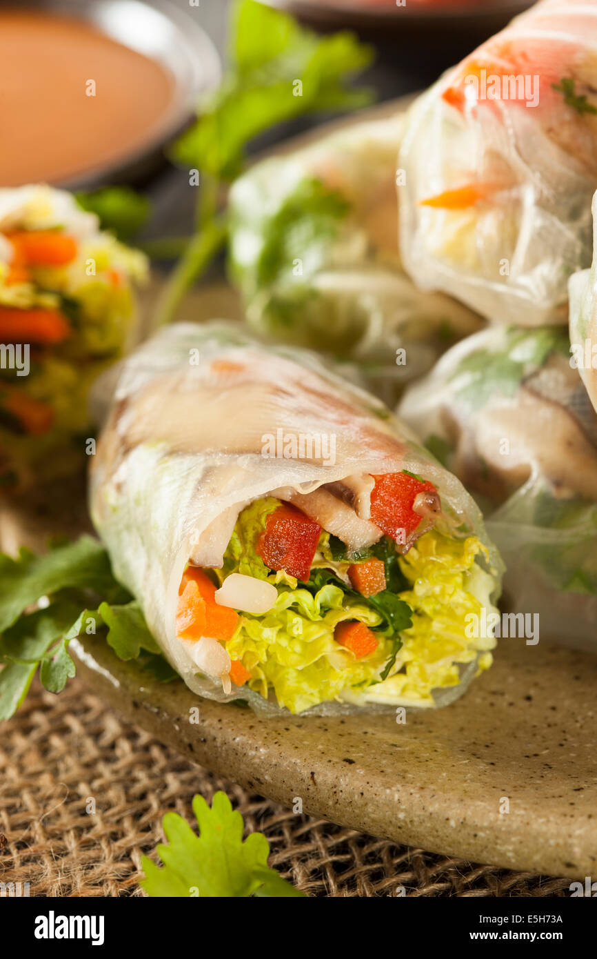 Healthy Vegetarian Spring Rolls with Cilantro Carrots and Cabbage Stock ...