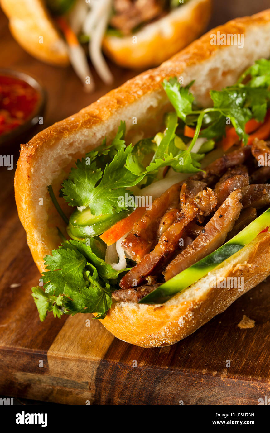 Vietnamese Pork Banh Mi Sandwich with Cilantro and Daikon Stock Photo ...