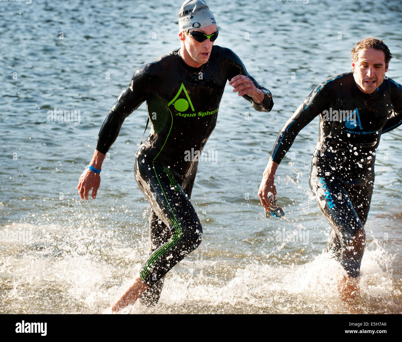 Swimmers enter the water at the start of the swim leg. 2014 Canadian ...