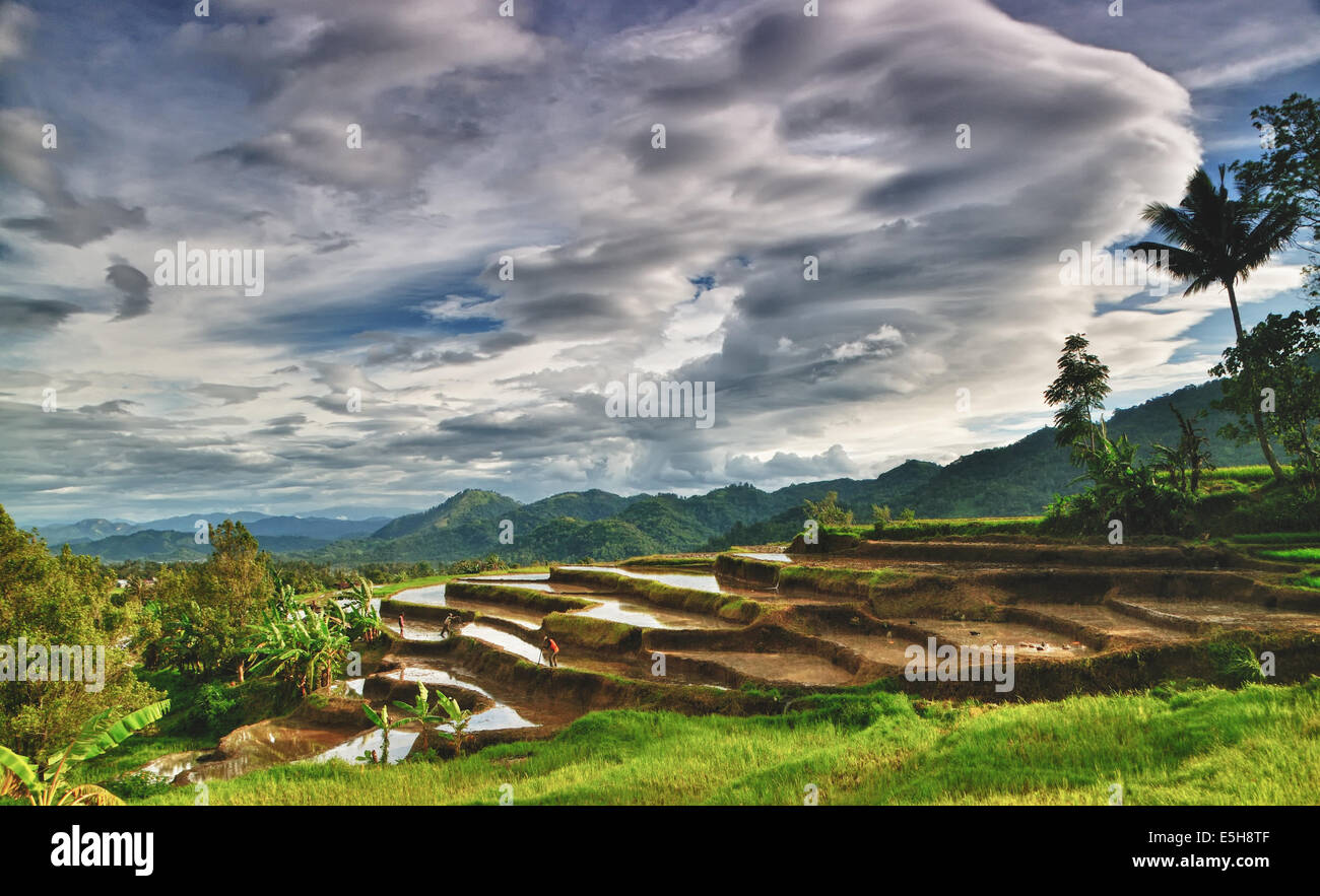 History of indonesia landmark of sumatra hi-res stock photography and ...