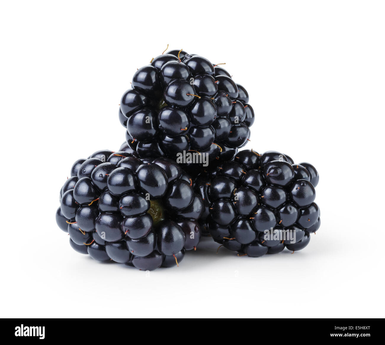 ripe organic blackberries, isolated on white background Stock Photo - Alamy