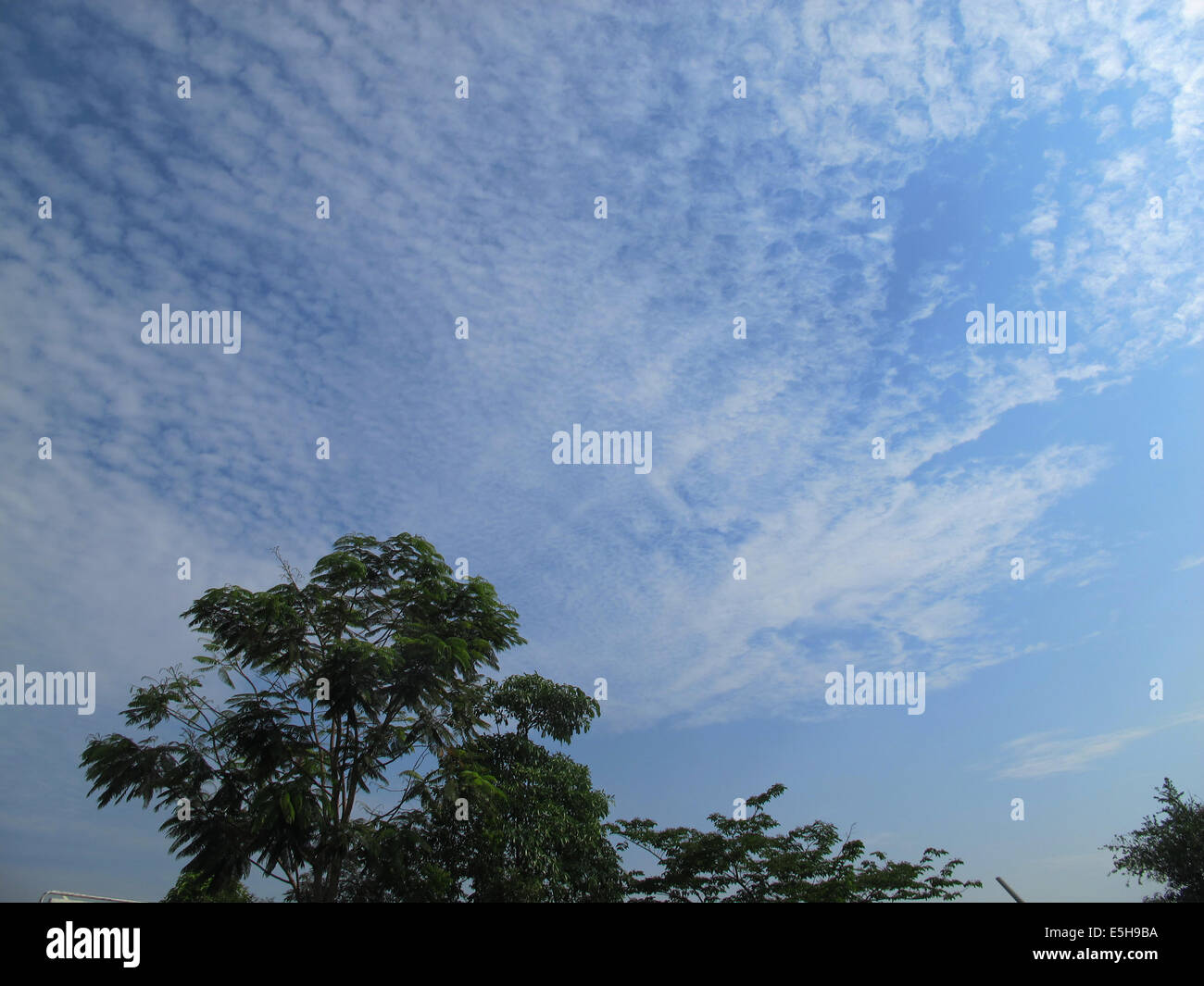Clouds and Sky Background location at Phu Hin Rong Kla National Park in ...