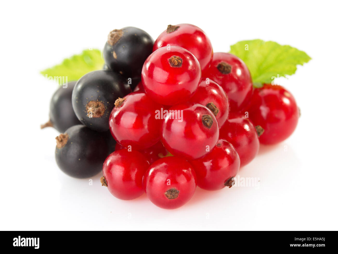 black and red currants isolated on white background Stock Photo - Alamy