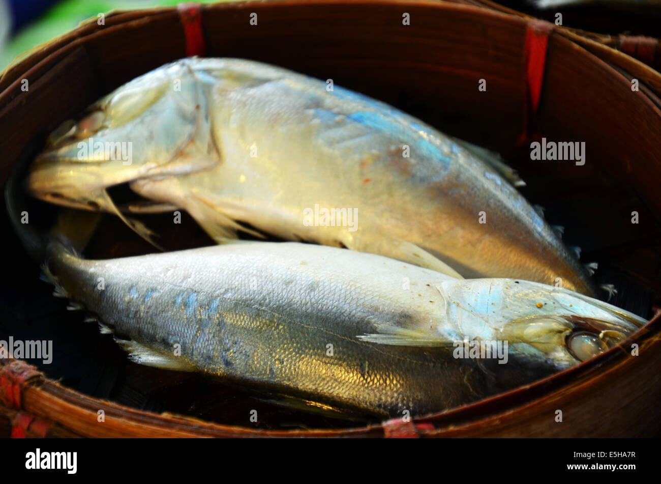 Steamed fish tuna in Thailand Stock Photo - Alamy