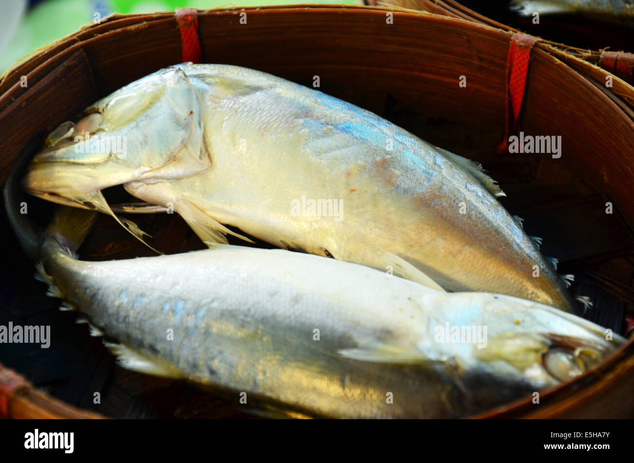 Steamed fish tuna in Thailand Stock Photo - Alamy