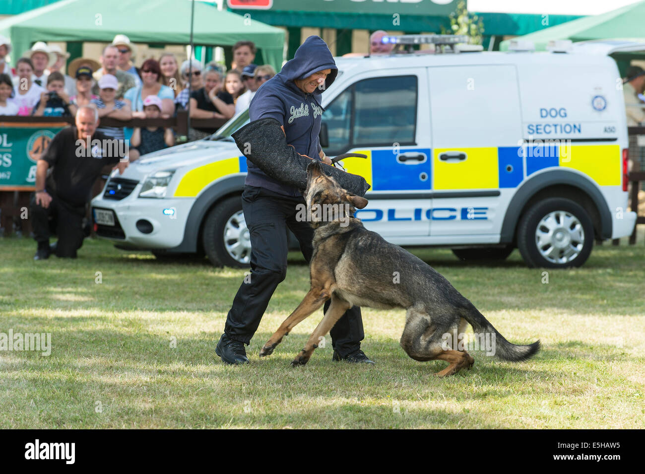 Police Dog display during the 'New Forest & Hampshire County Show 2014 ...