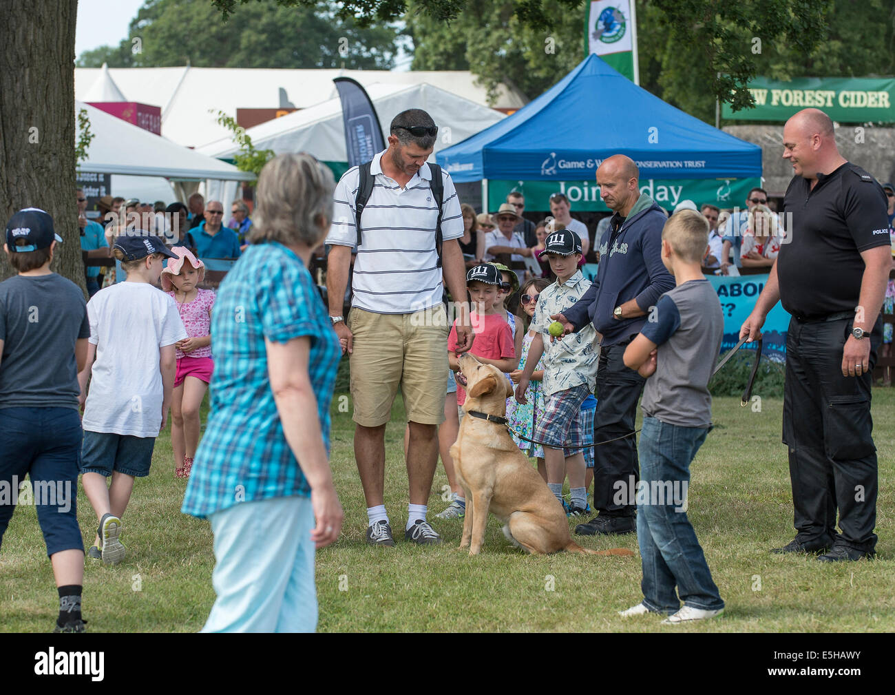 Passive dog hi-res stock photography and images - Alamy