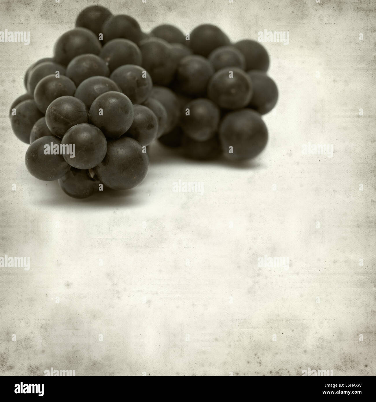 textured old paper background with black grapes Stock Photo - Alamy