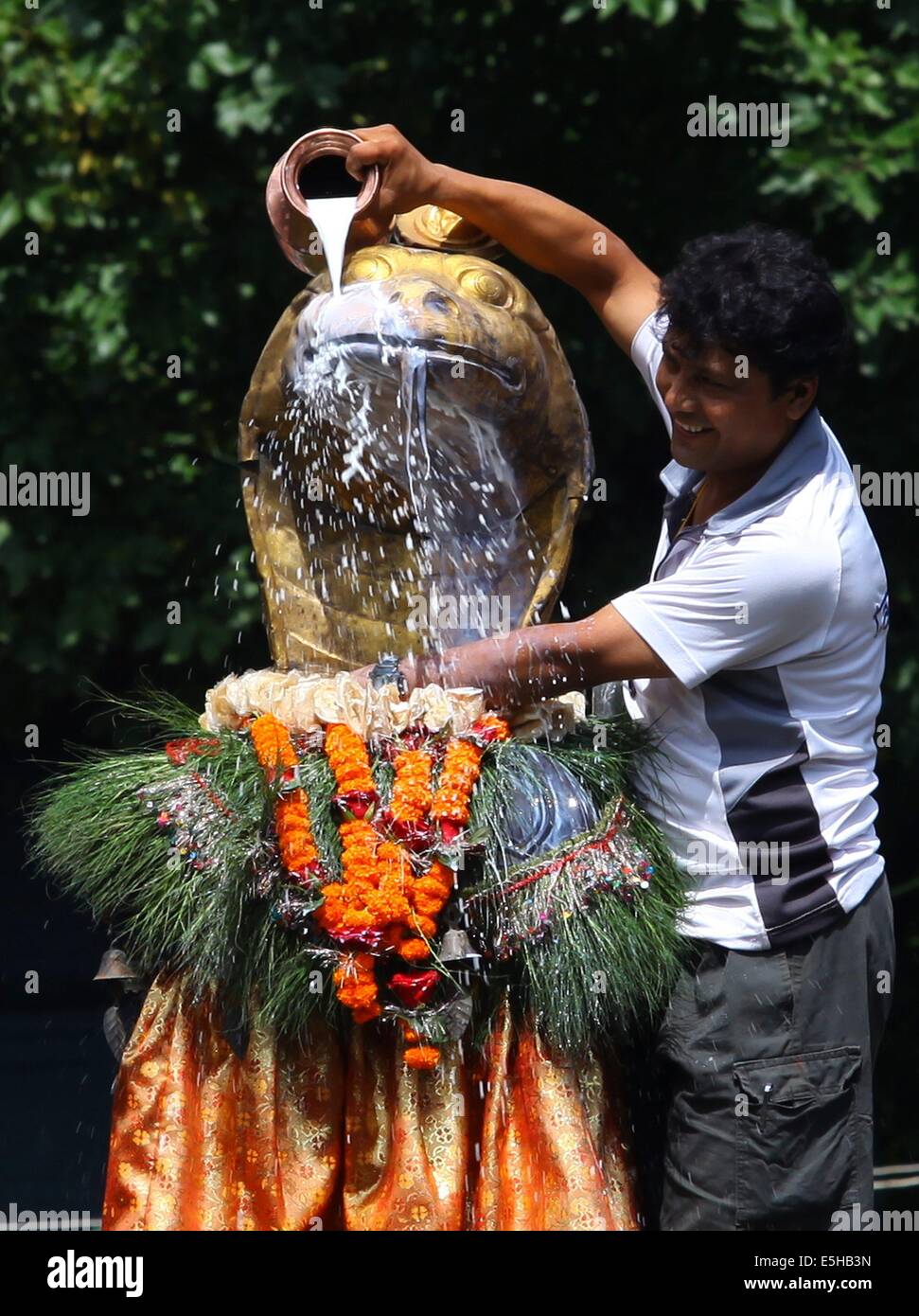 Nag panchami nepal hi-res stock photography and images - Alamy
