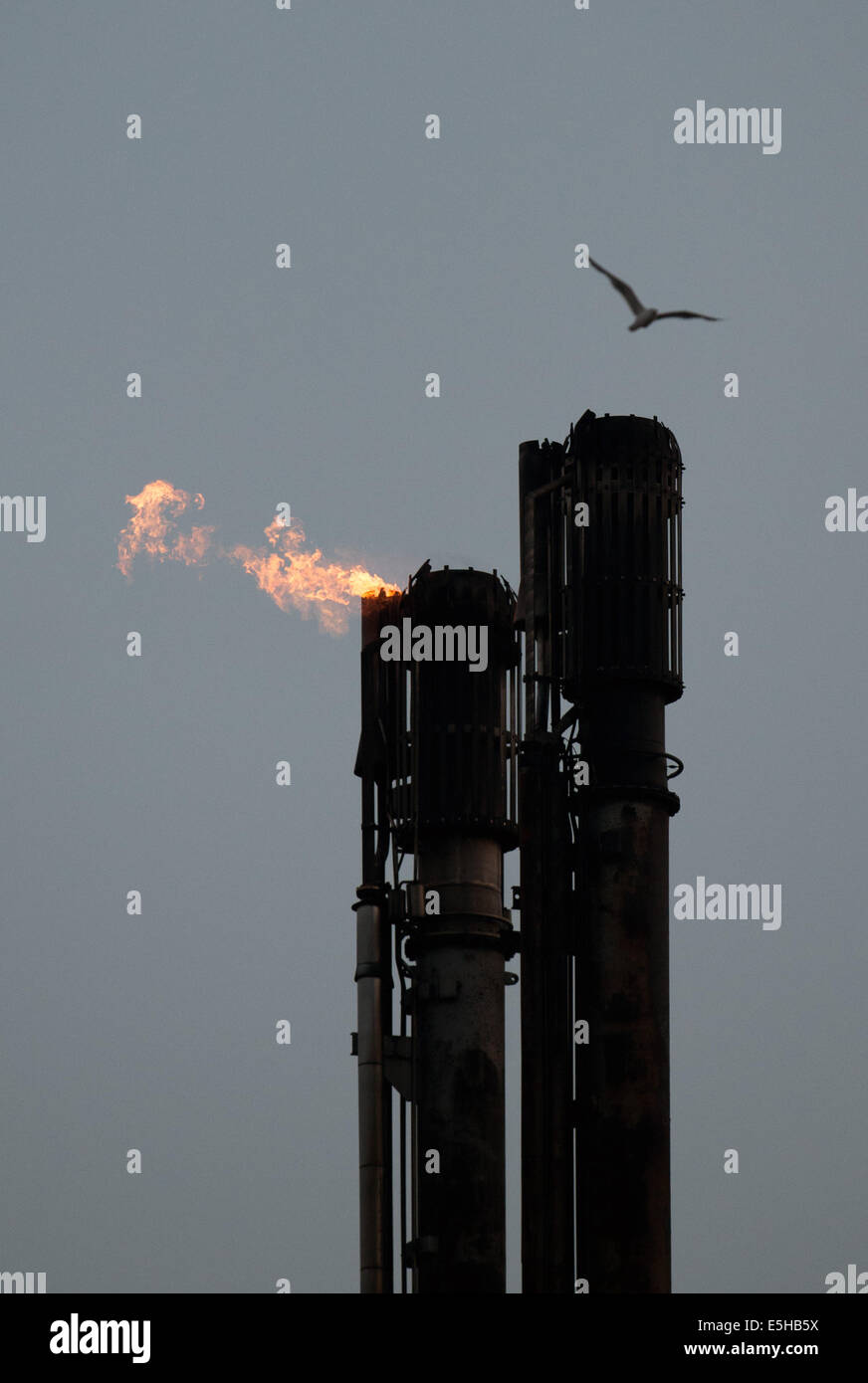 Oil refinery flaring hi-res stock photography and images - Alamy