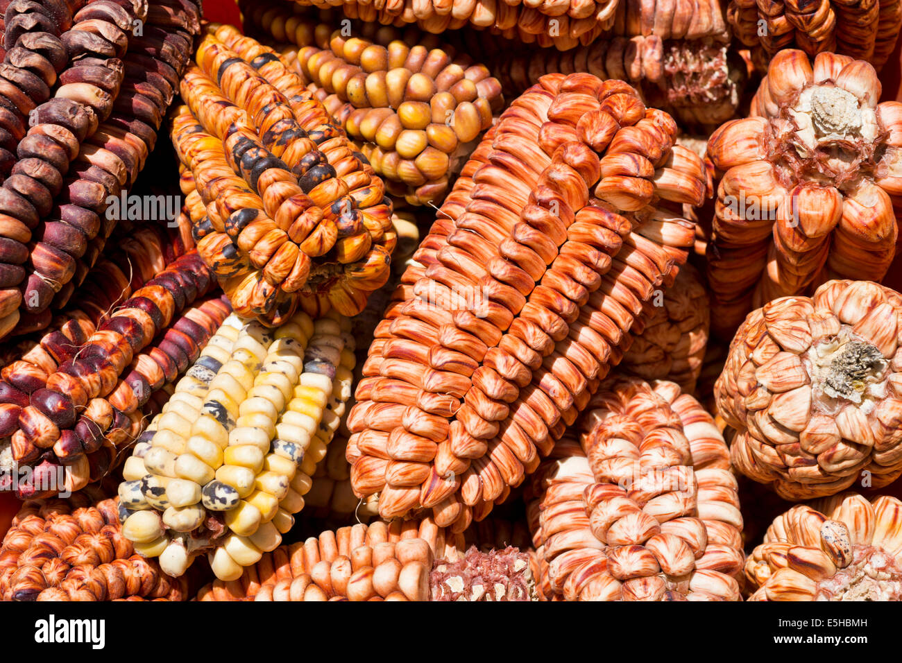 Corn cobs hi-res stock photography and images - Alamy