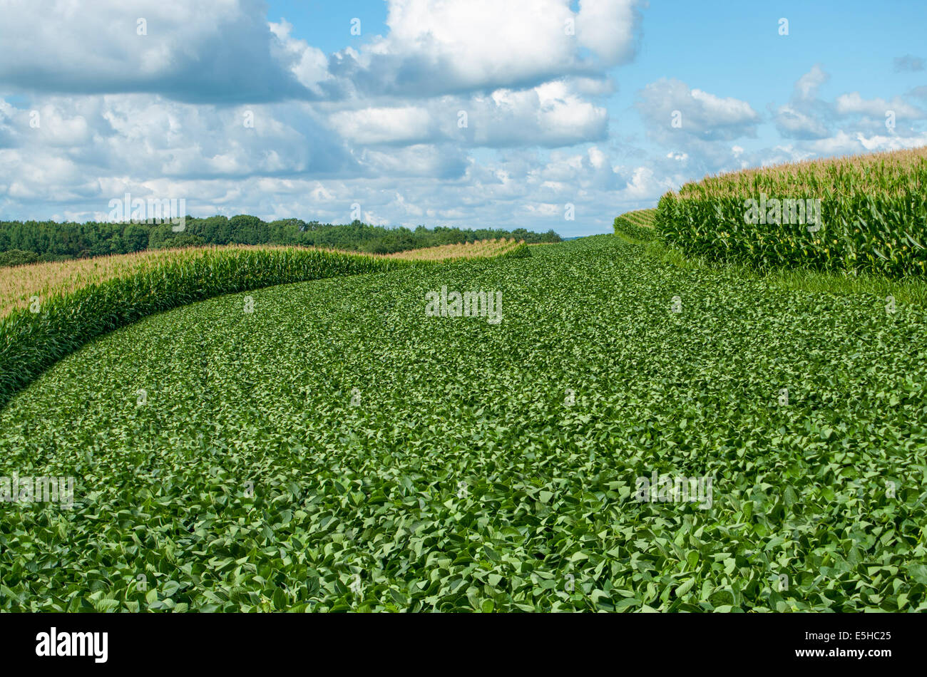 Contour farming, erosion hi-res stock photography and images - Alamy