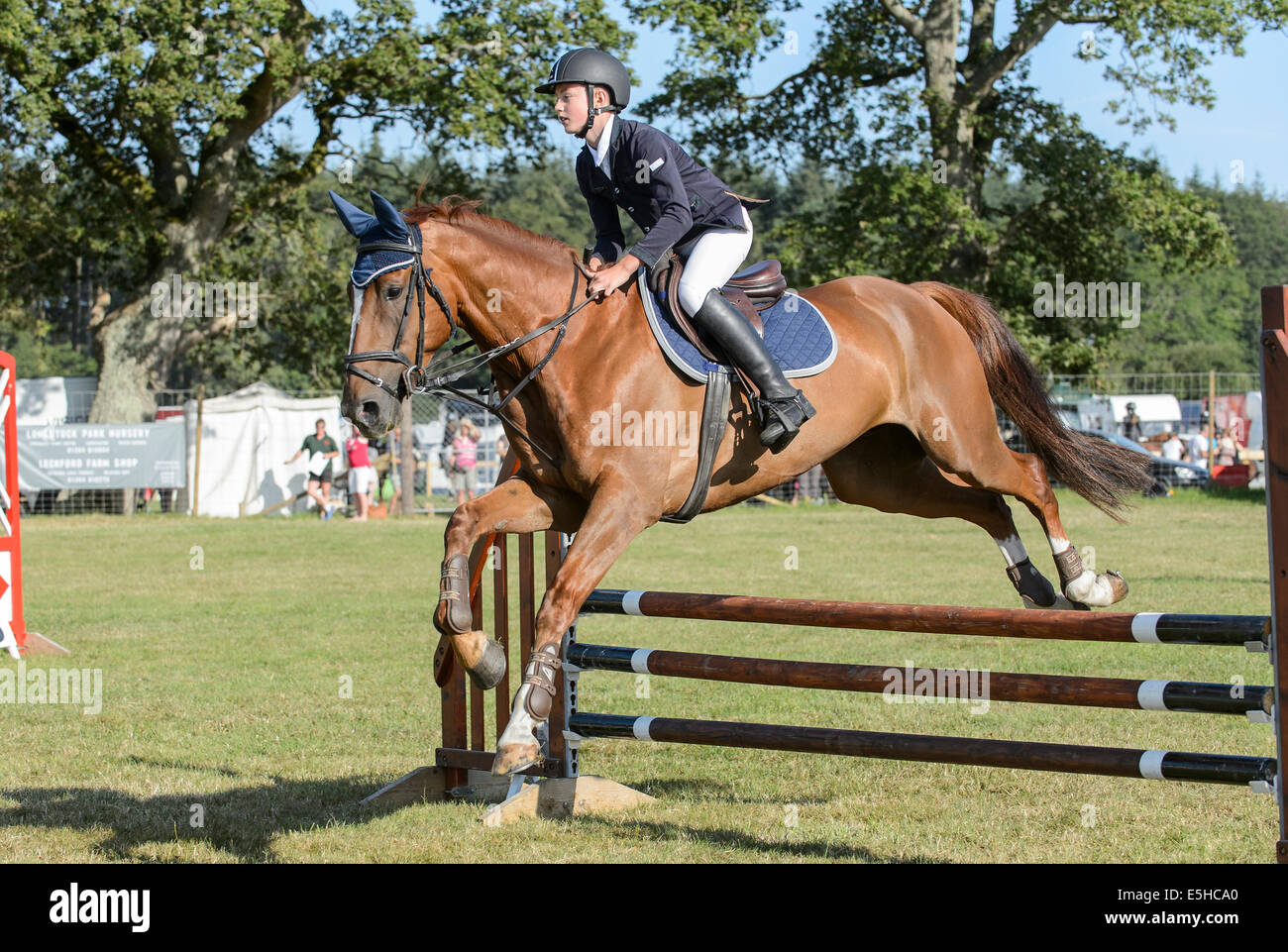 Ponies competing in a show jumping competition during the 'New Forest ...