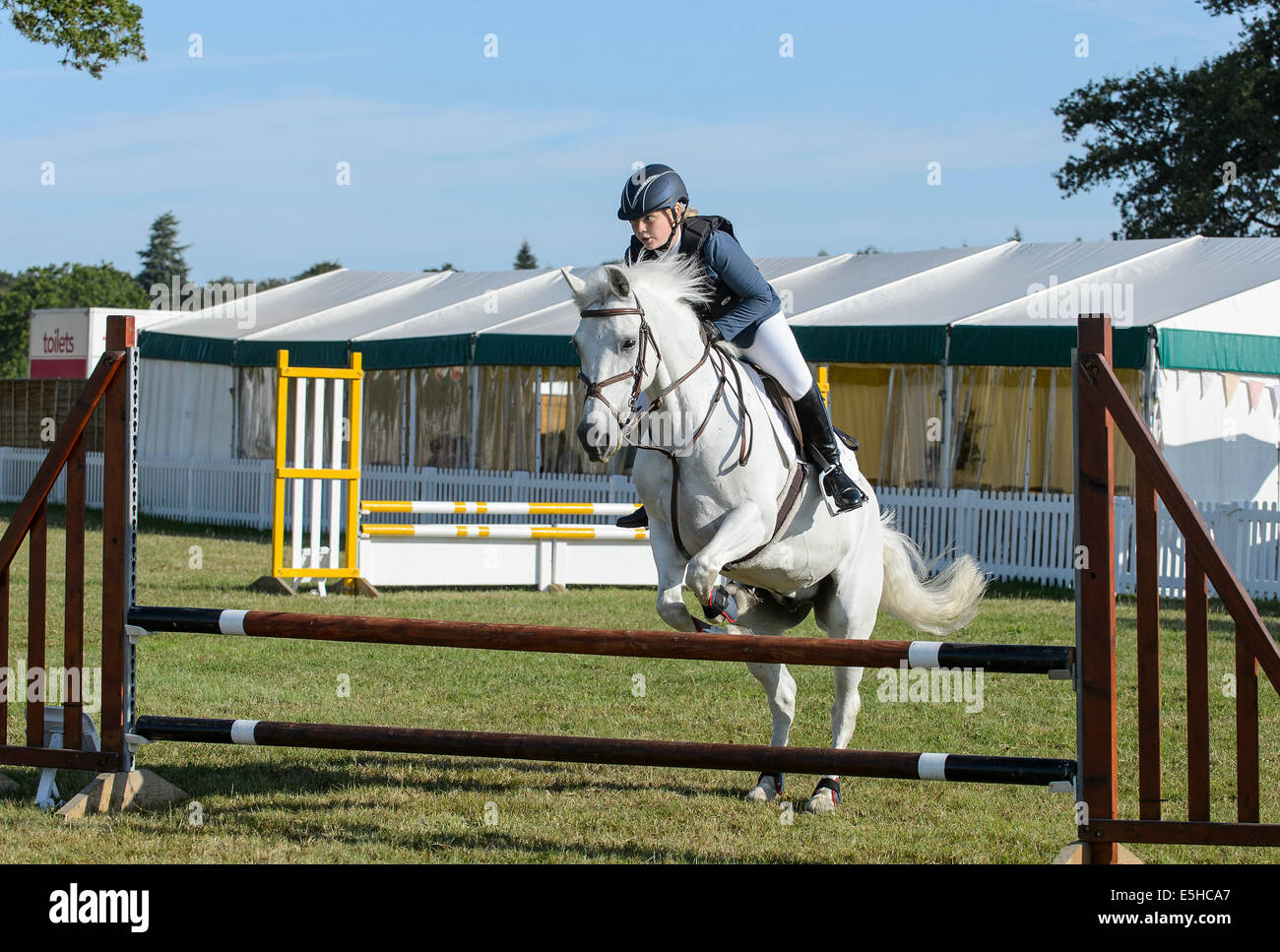 Ponies competing in a show jumping competition during the 'New Forest ...