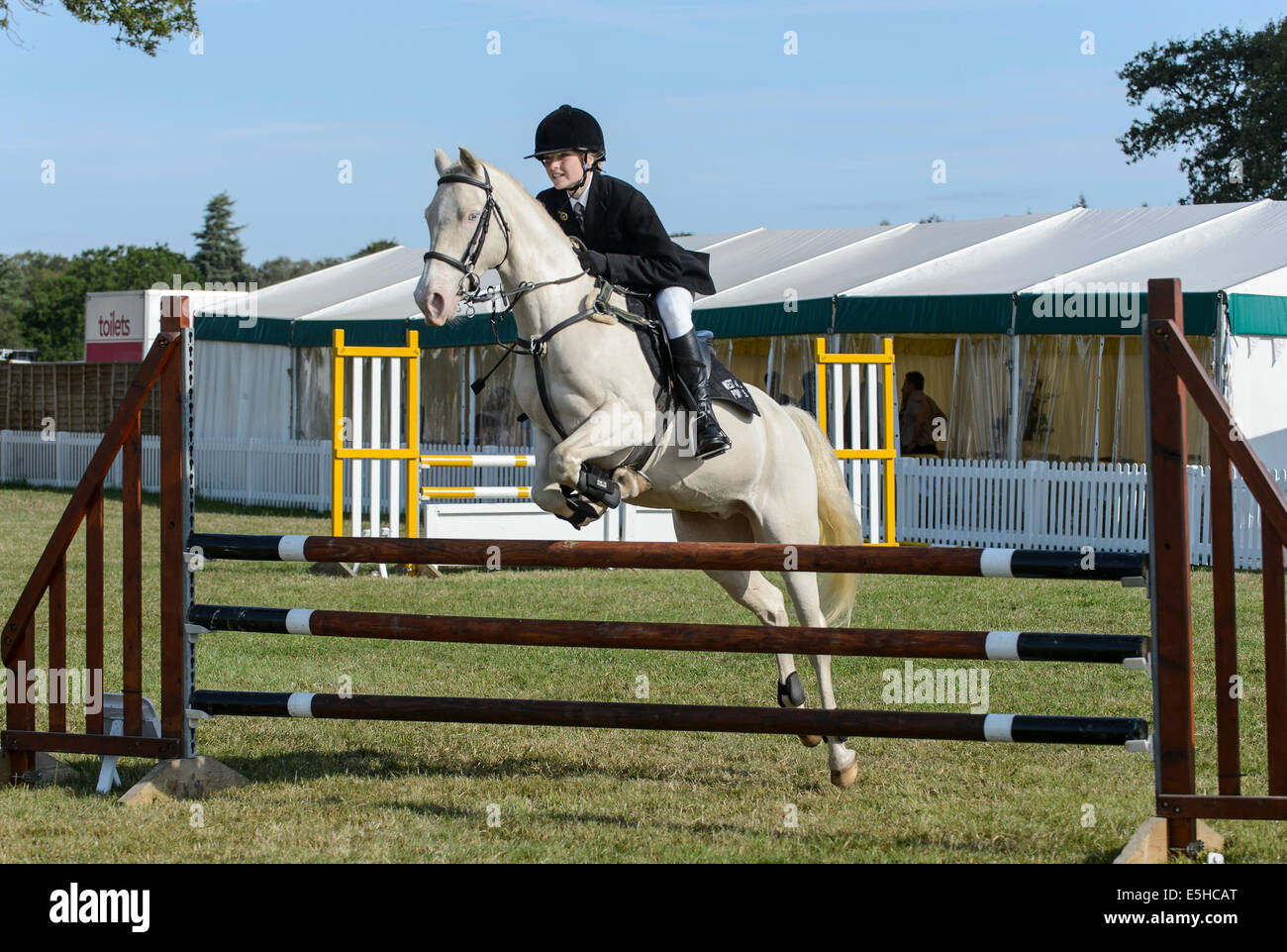 Ponies competing in a show jumping competition during the 'New Forest ...