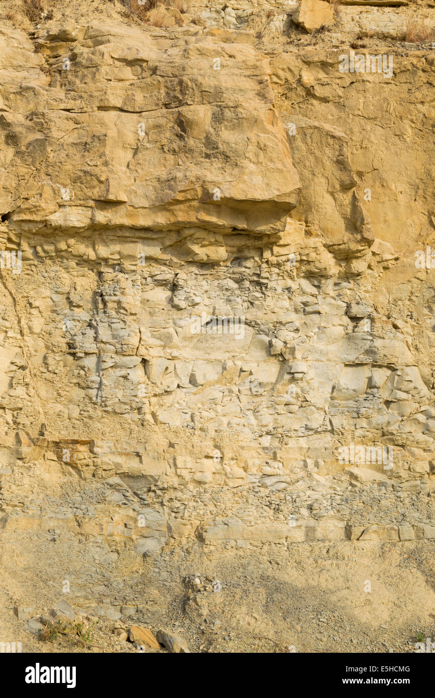 Porous limestone hi-res stock photography and images - Alamy