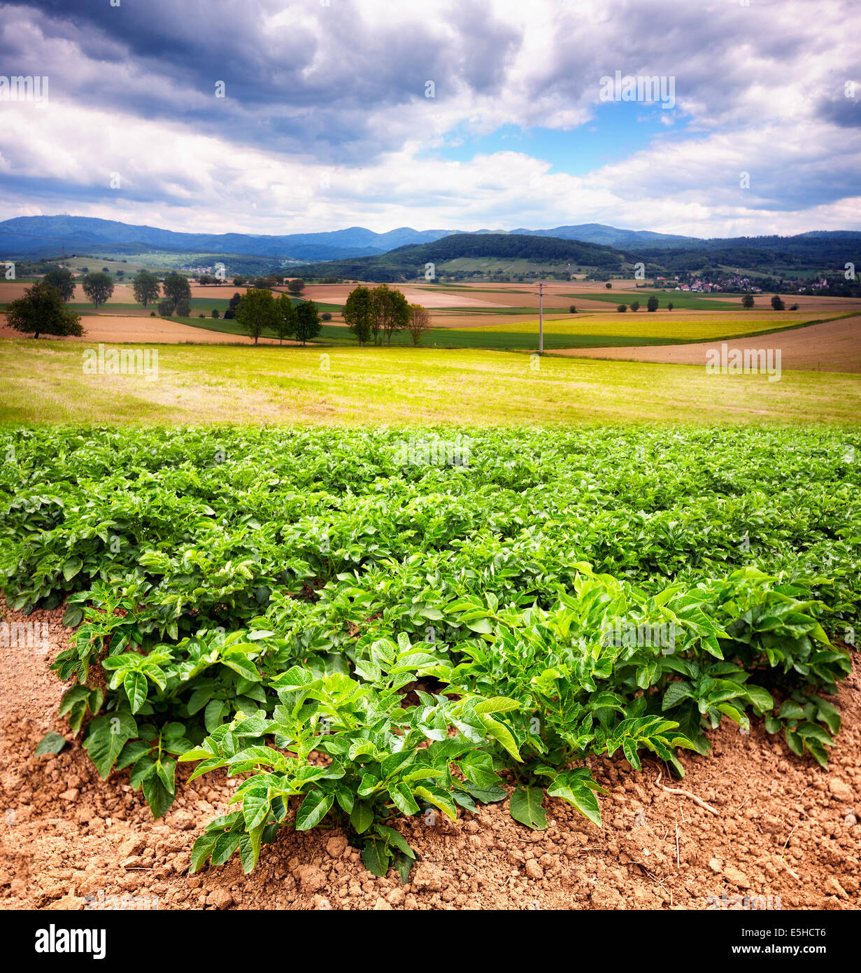 Landscape potato scenery scenic hi-res stock photography and images - Alamy