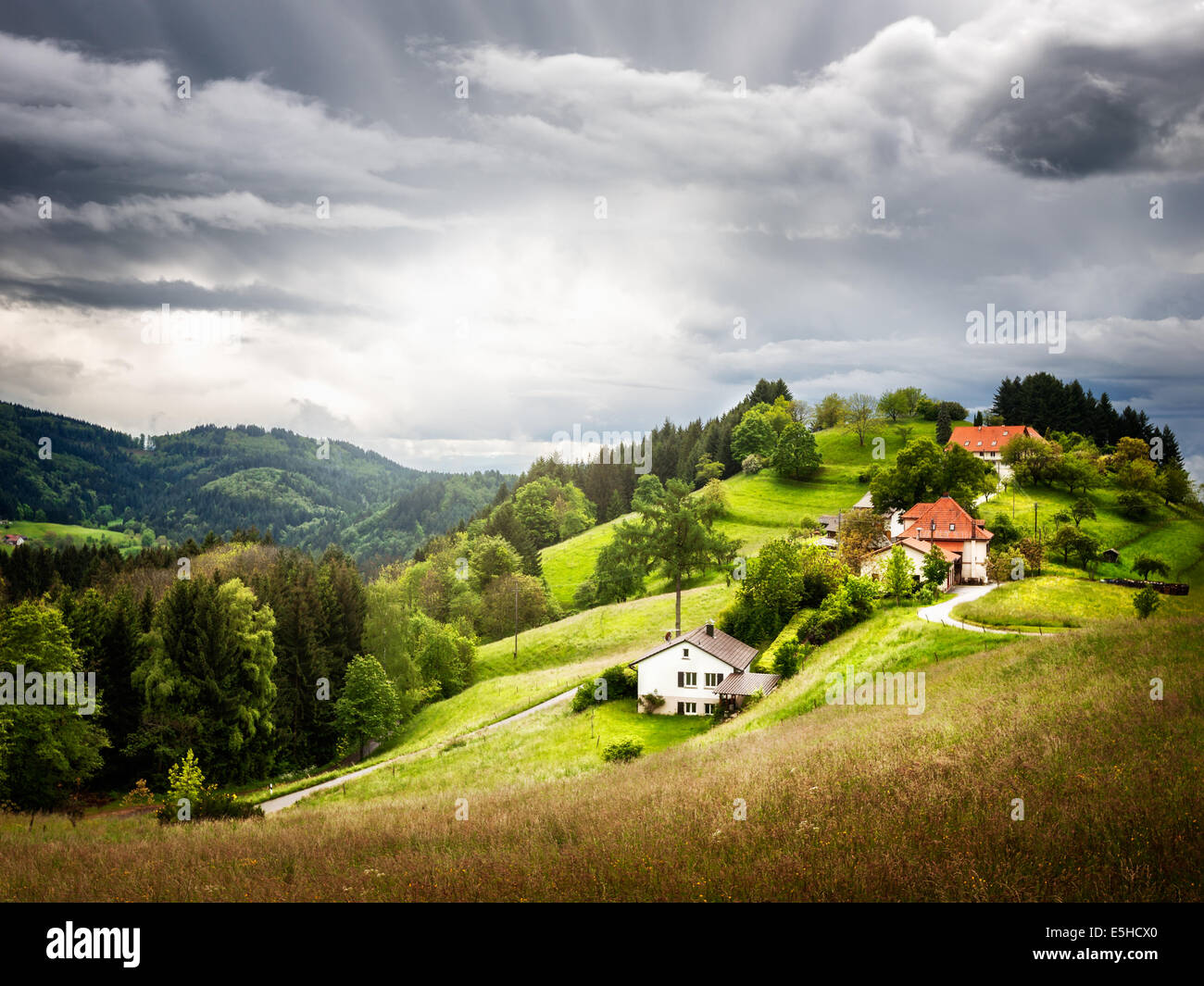 Beautiful hill landscape with small village and fir trees. Black Forest ...