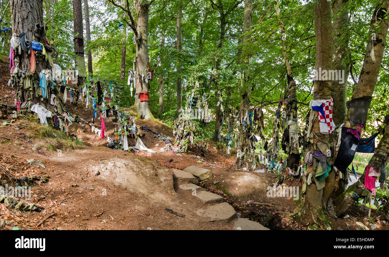 CLOOTIE WELL AT MUNLOCHY BLACK ISLE VARIETY OF CLOTHING TIED TO TREES ...