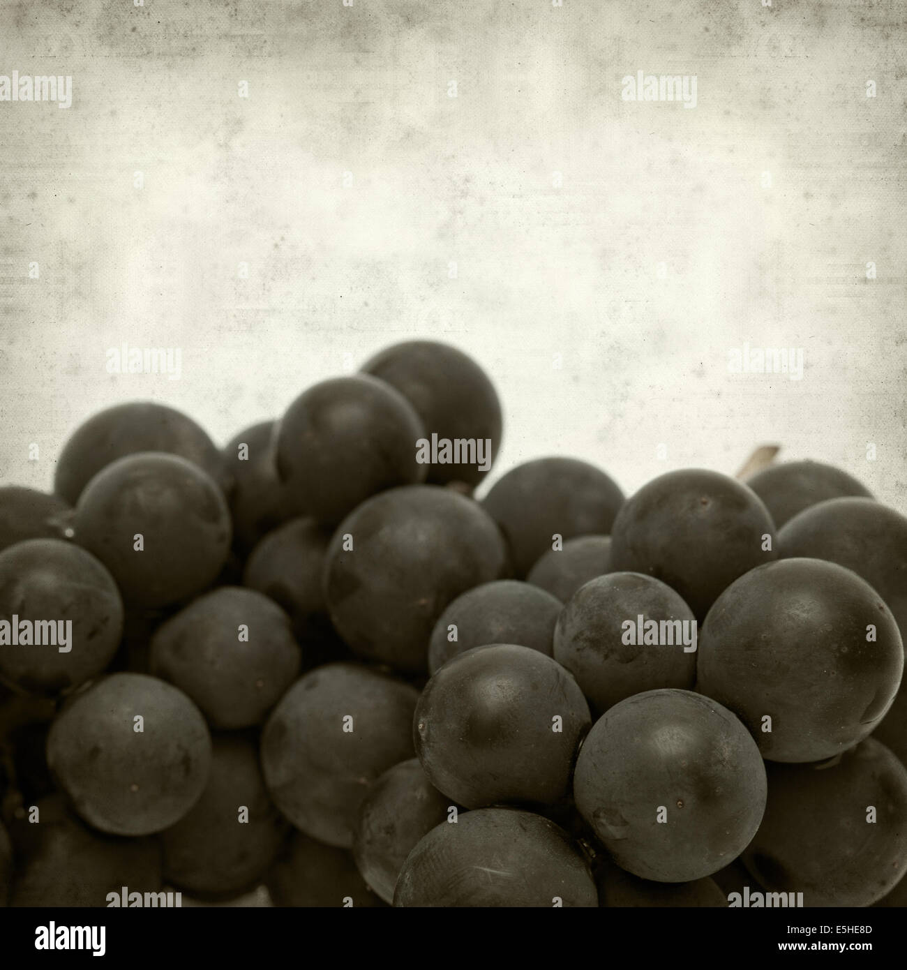 textured old paper background with black grapes Stock Photo - Alamy