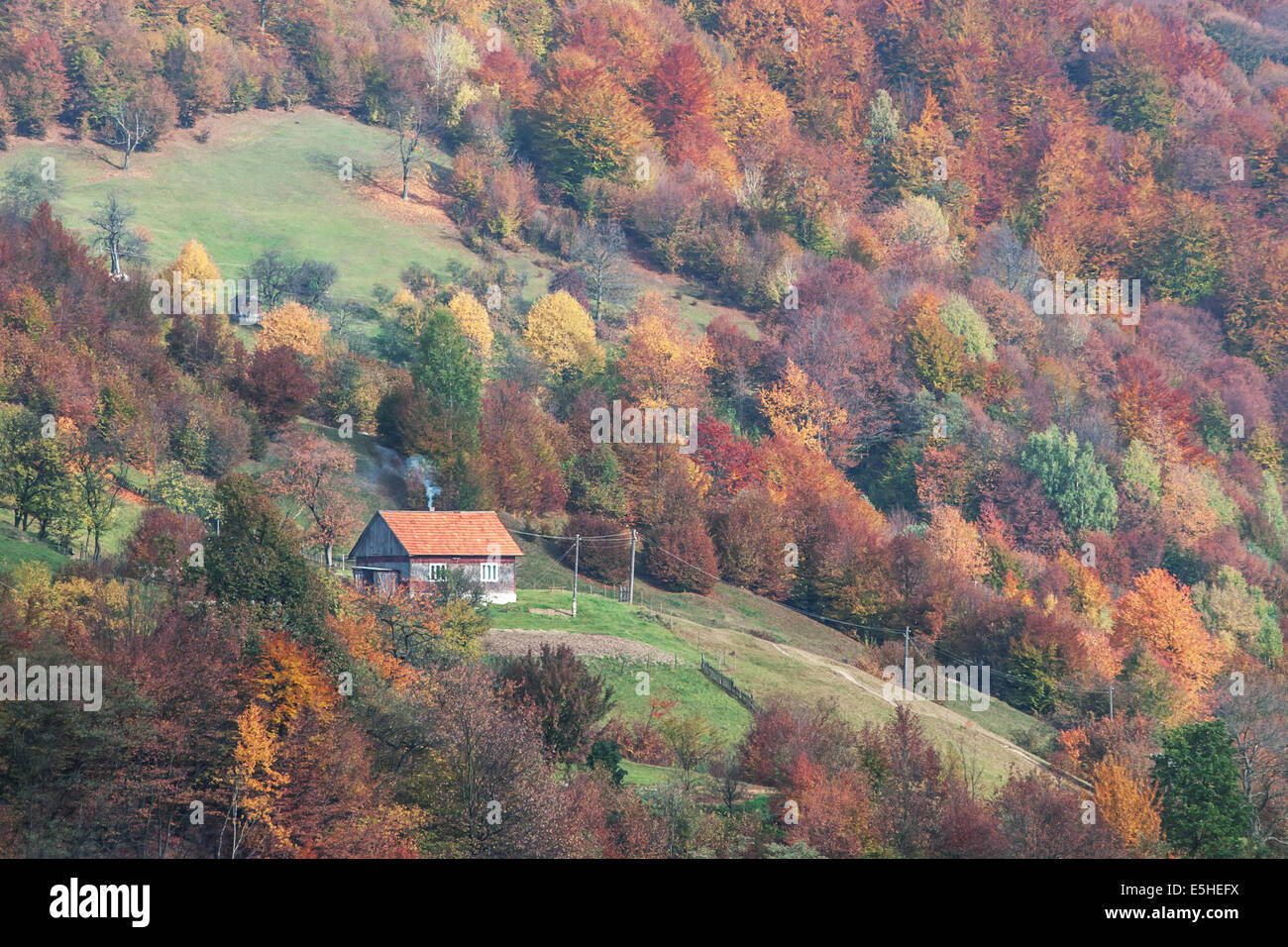 Orange autumn season fall house hi-res stock photography and images - Alamy