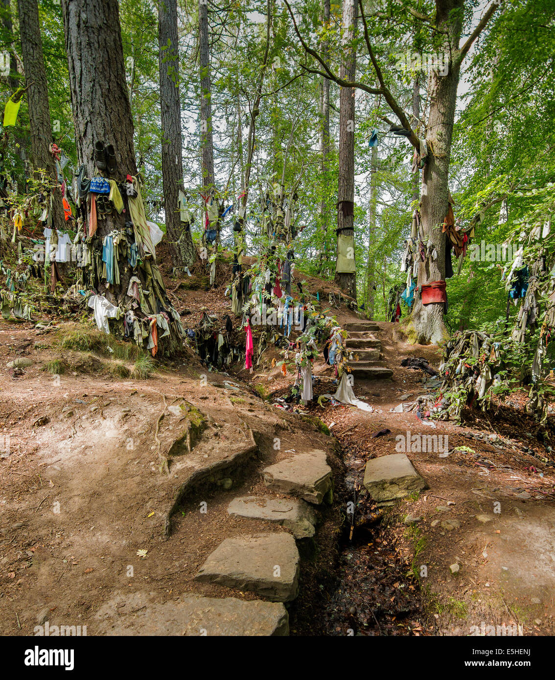 CLOOTIE WELL AT MUNLOCHY BLACK ISLE VARIETY OF CLOTHING TIED TO TREES ...