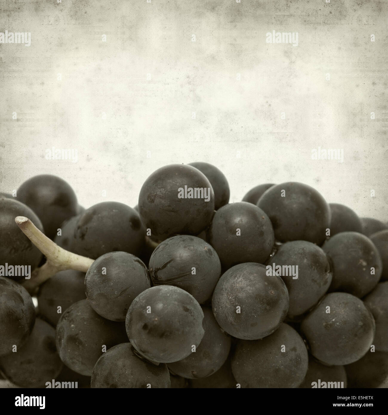 textured old paper background with black grapes Stock Photo - Alamy