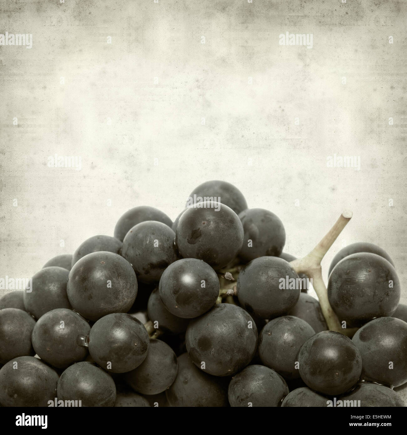 textured old paper background with black grapes Stock Photo - Alamy