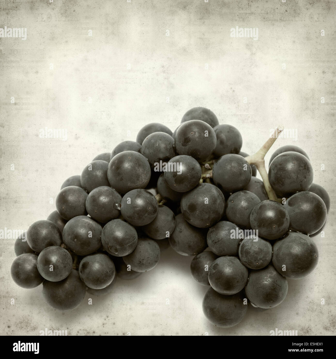 textured old paper background with black grapes Stock Photo - Alamy