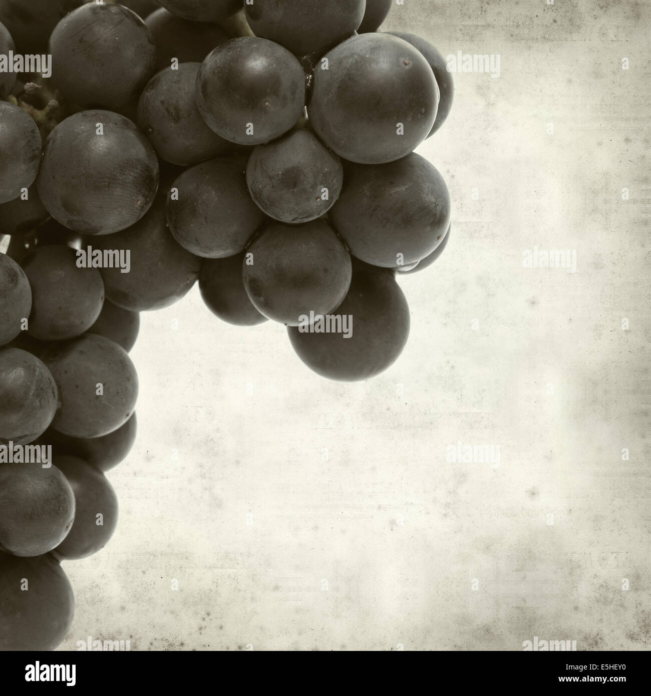 textured old paper background with black grapes Stock Photo - Alamy