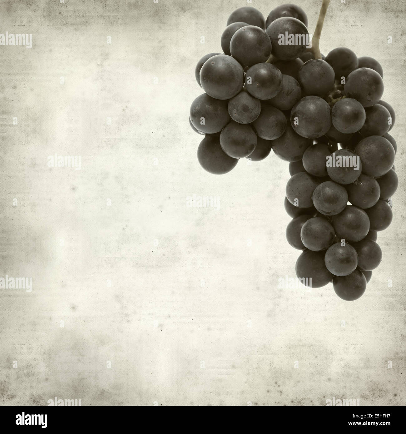 textured old paper background with black grapes Stock Photo - Alamy