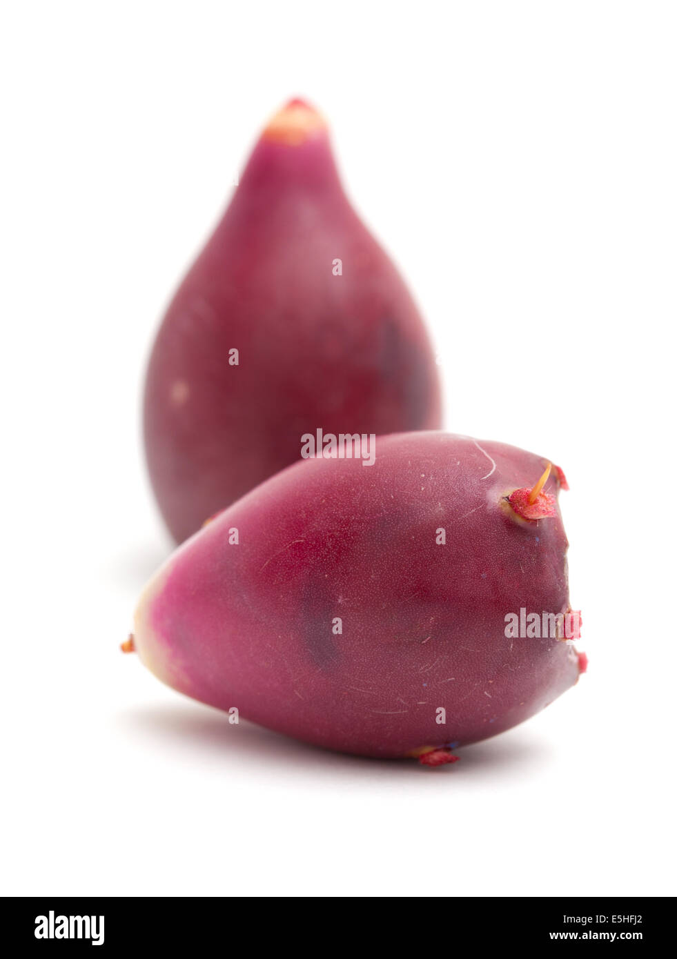 purple prickly pear fruit isolated on white Stock Photo - Alamy
