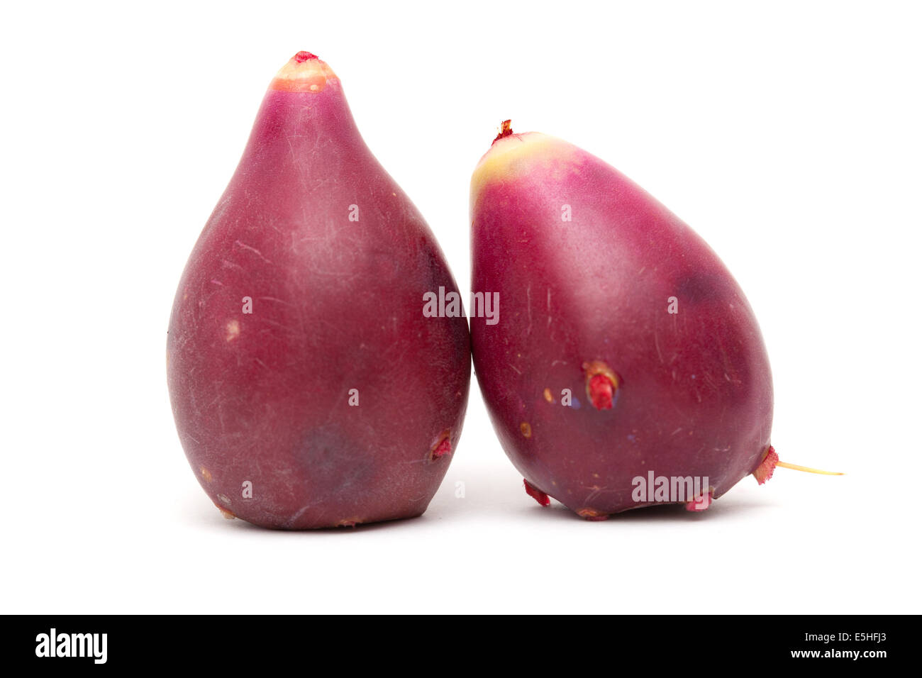 purple prickly pear fruit isolated on white Stock Photo - Alamy