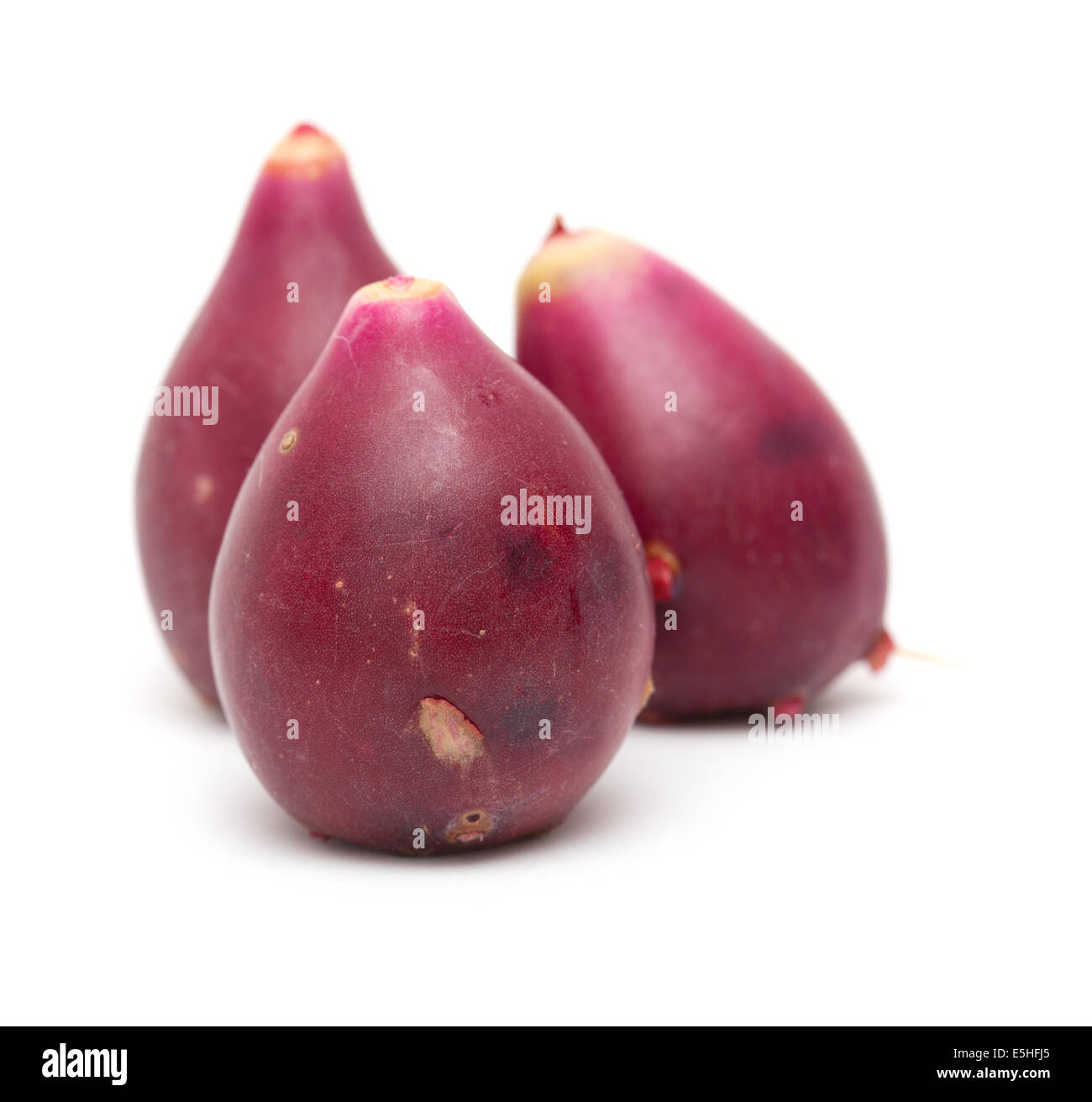 purple prickly pear fruit isolated on white Stock Photo - Alamy