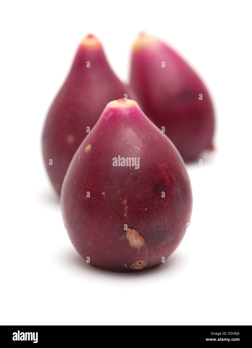 purple prickly pear fruit isolated on white Stock Photo - Alamy