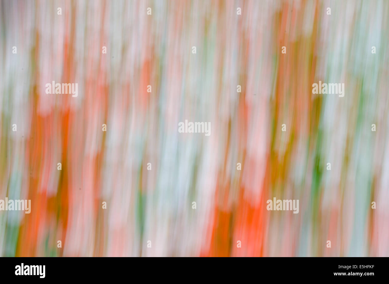 Motion blurred garden hi-res stock photography and images - Alamy