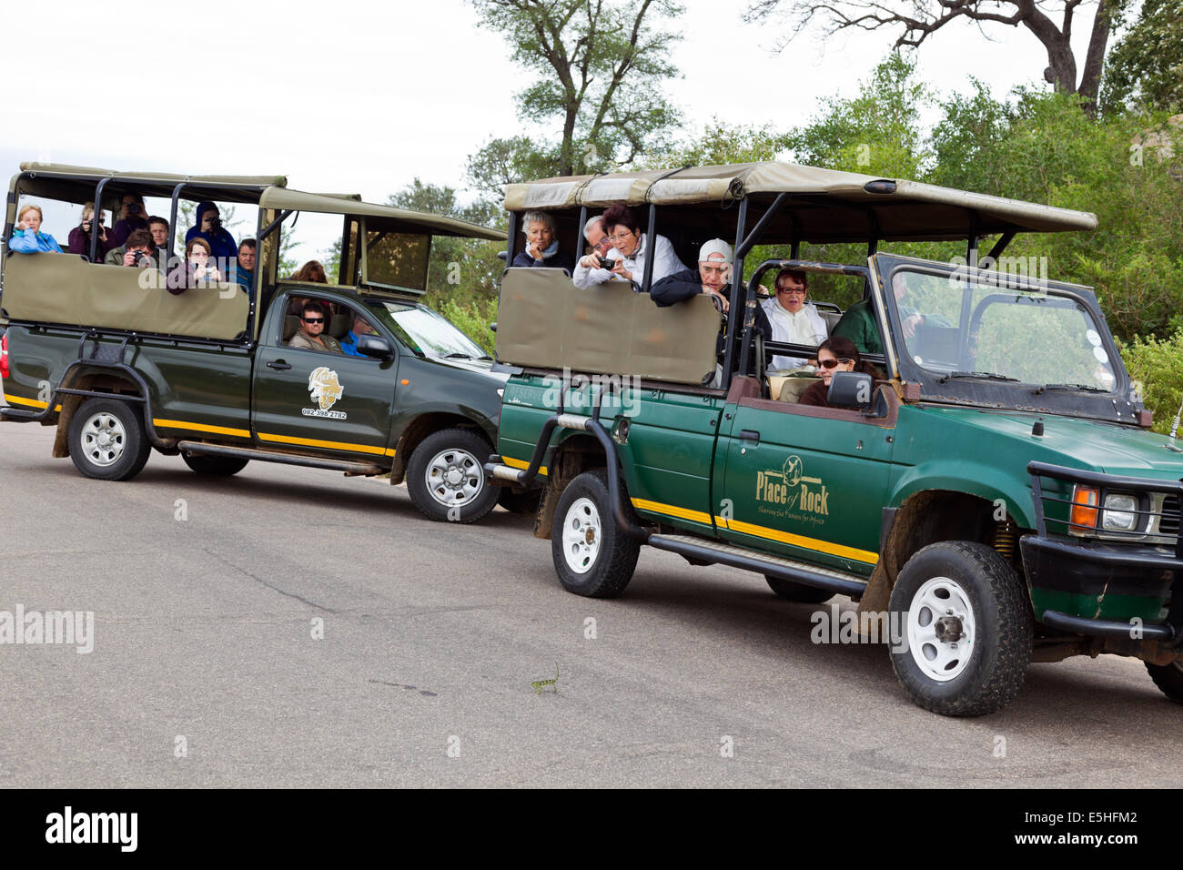 Tourists visiting the Kruger National Park on a game drive stop to look ...